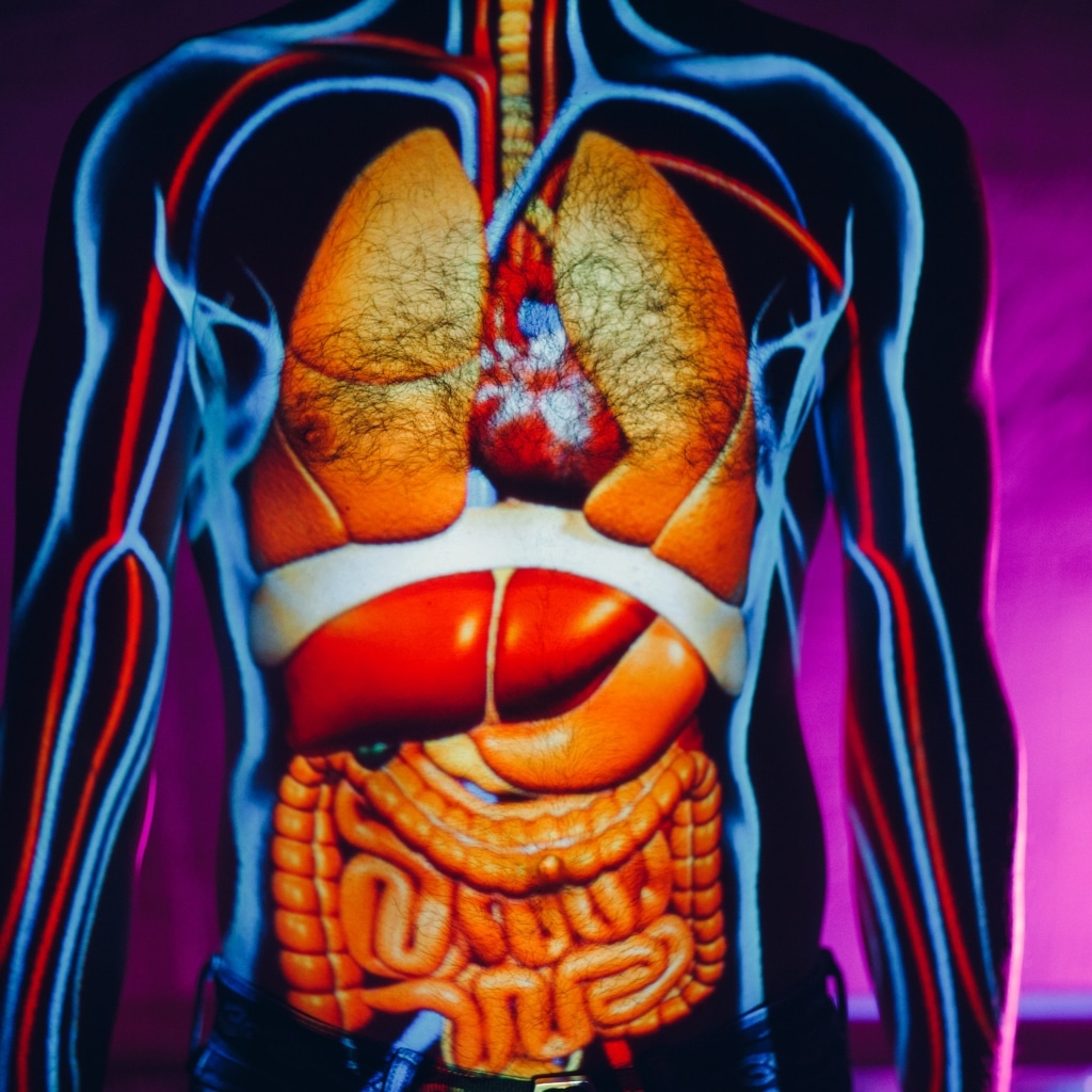 6 Different Types of Body Fat and How to Get Rid of Them
