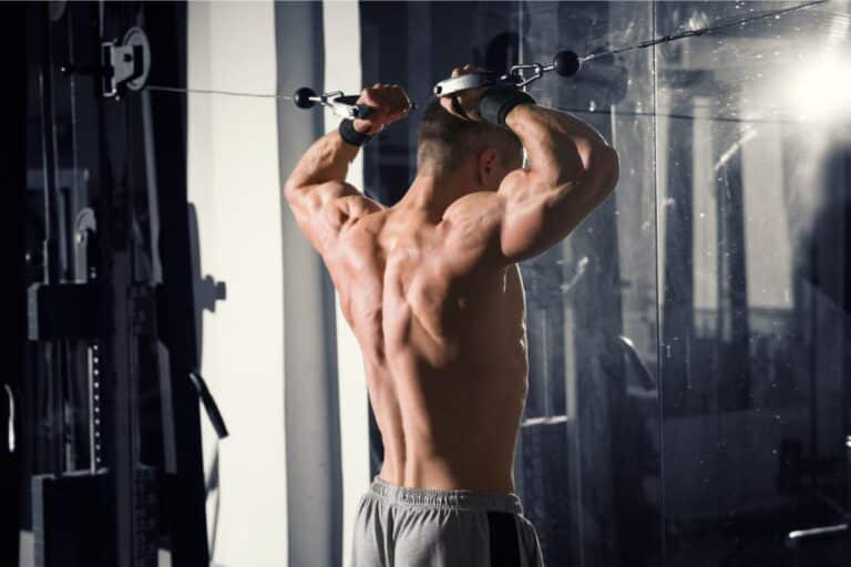 Volume Chart - The Ultimate Guide to Optimizing Muscle Growth