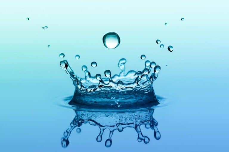 The Role of Water in Converting Body Fat into Energy: A Fitness Guide