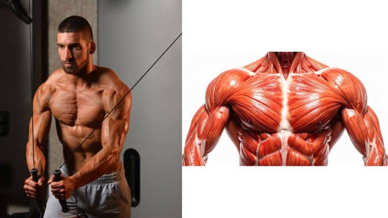 Chest Workout for Mass That Builds Size Fast | Faith~N~Fit